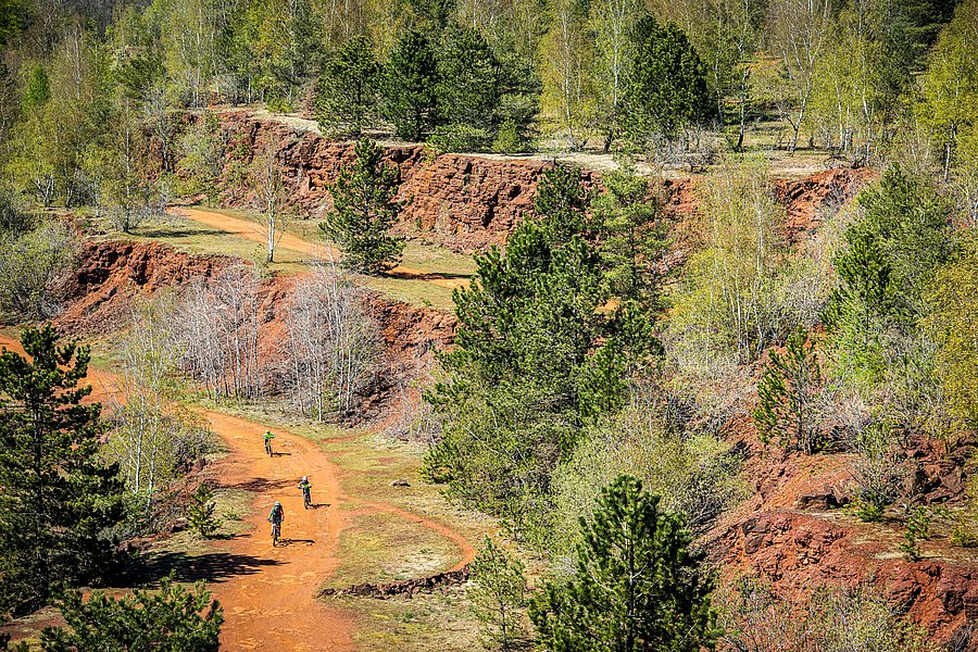Man and the Biosphere - Visit Luxembourg
