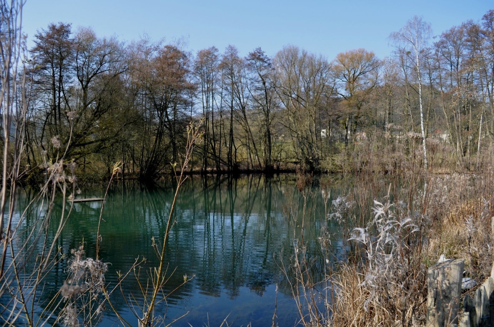 To bee or not to bee Bee educational trail Beckerich - Visit Luxembourg