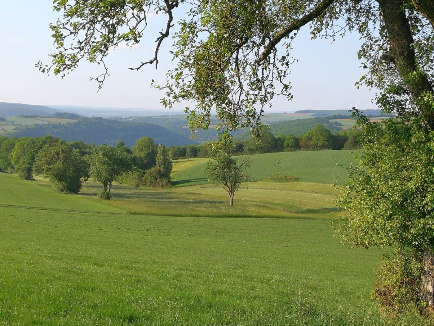 Lokale wandelroute - R8 - Visit Luxembourg