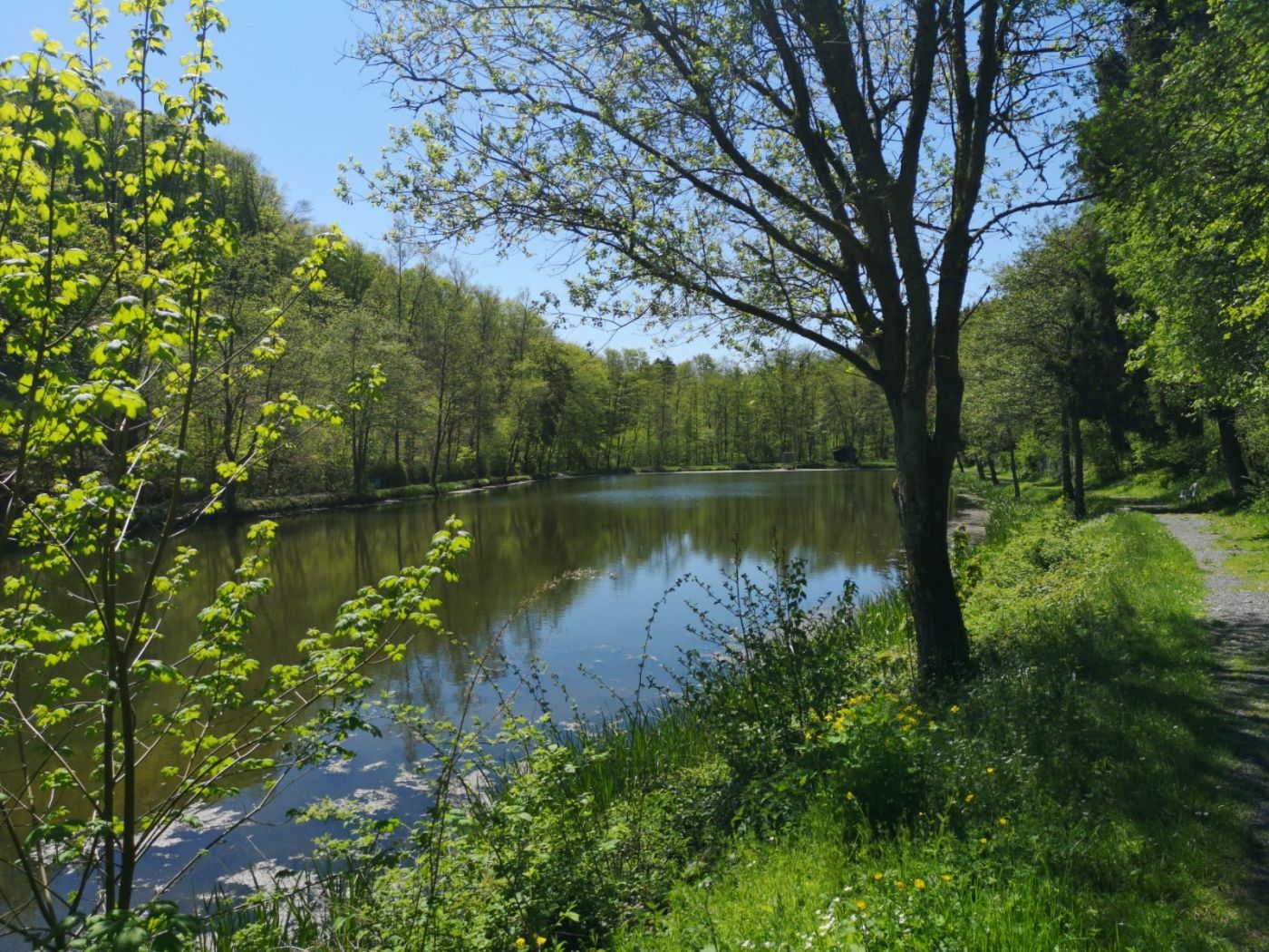 Camping Reilerweier - Visit Luxembourg