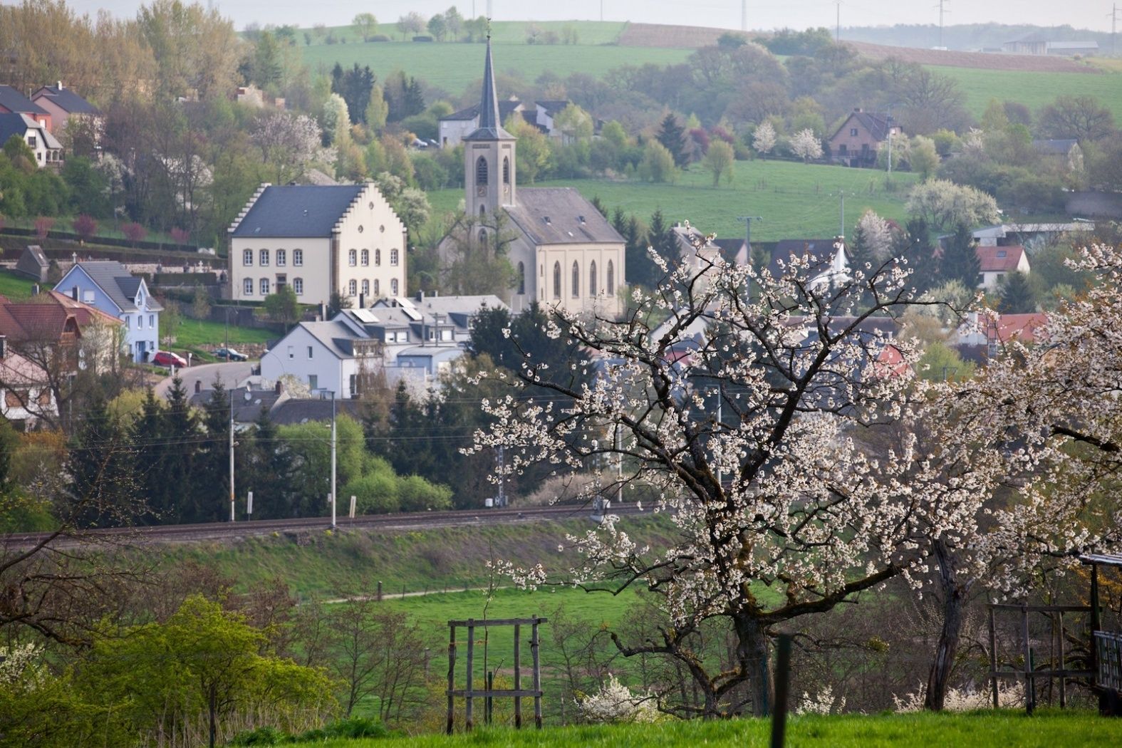 Auto-Pédestre Wanderweg Manternach - Visit Luxembourg
