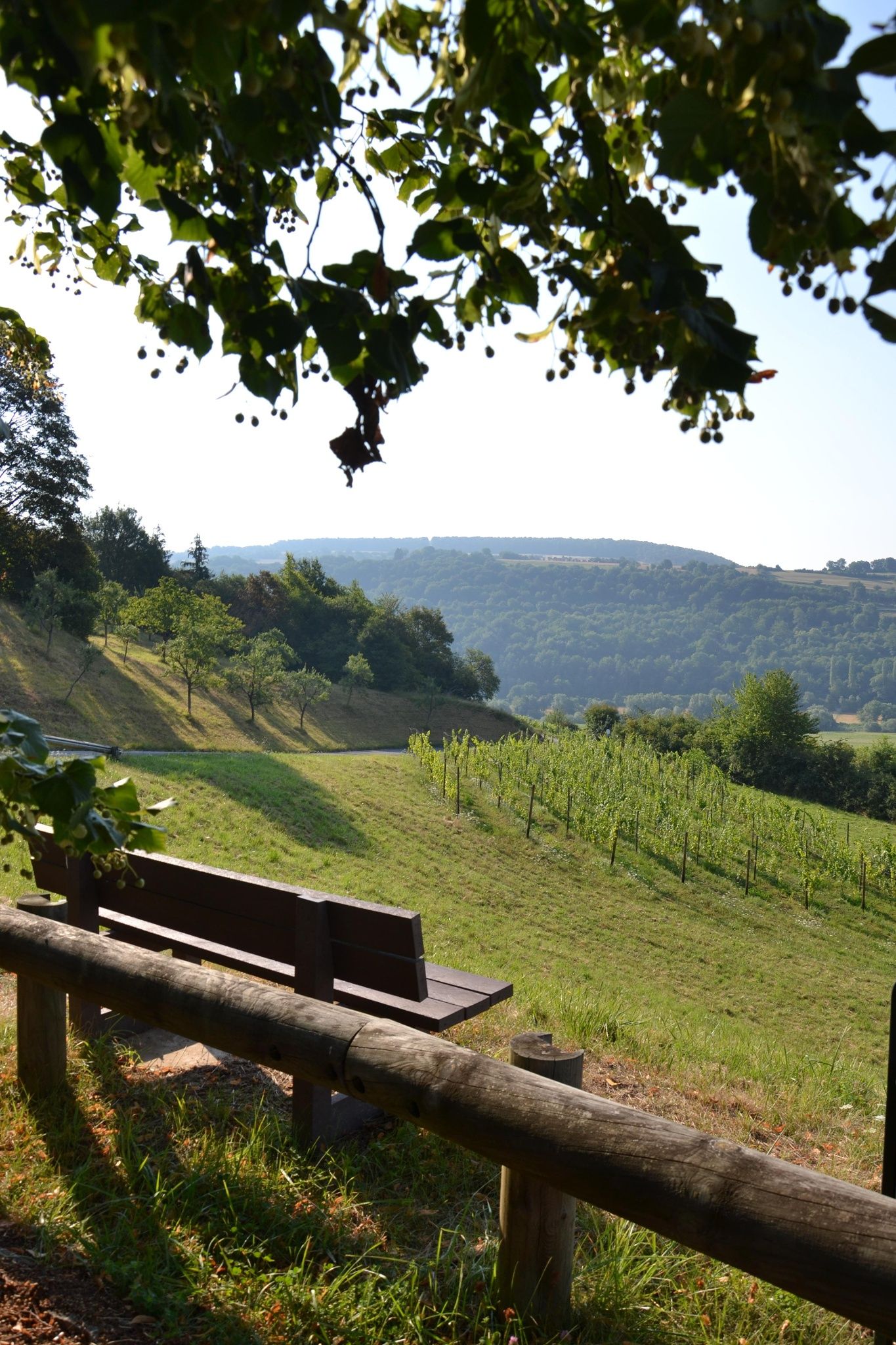 Small Geopark Tour - Visit Luxembourg