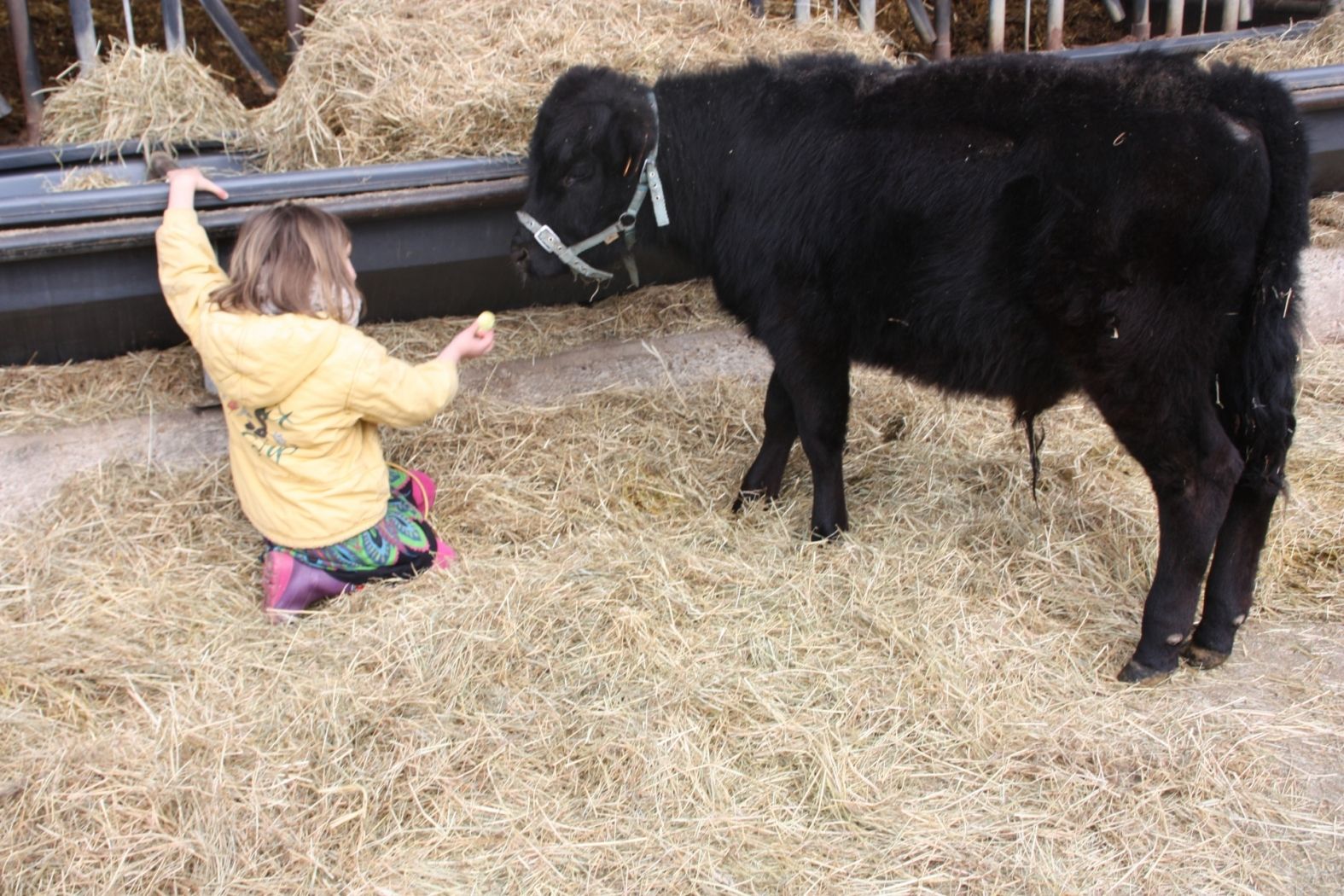 Famille Weydert Fromburgerhof (52m2) - Visit Luxembourg