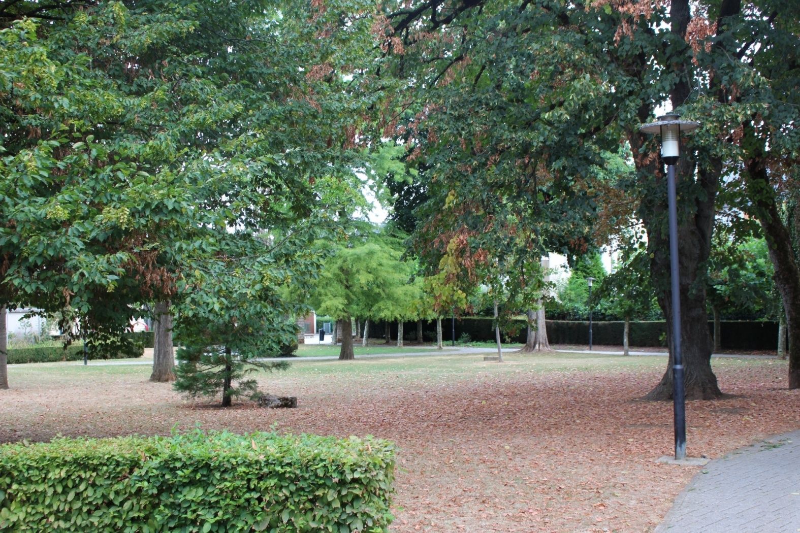 Auto-Pédestre Wanderweg Pétange - Visit Luxembourg