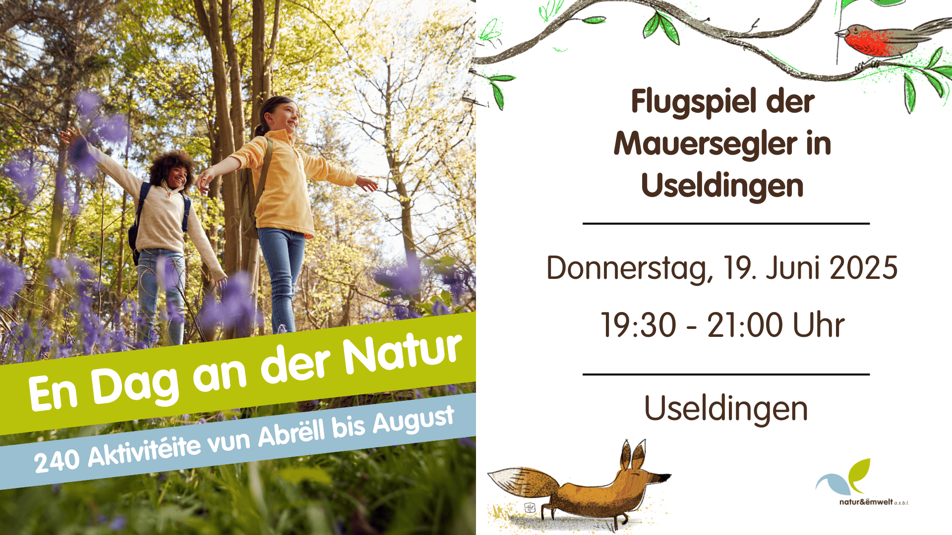 Jeu de vol des martinets à Useldange - Visit Luxembourg