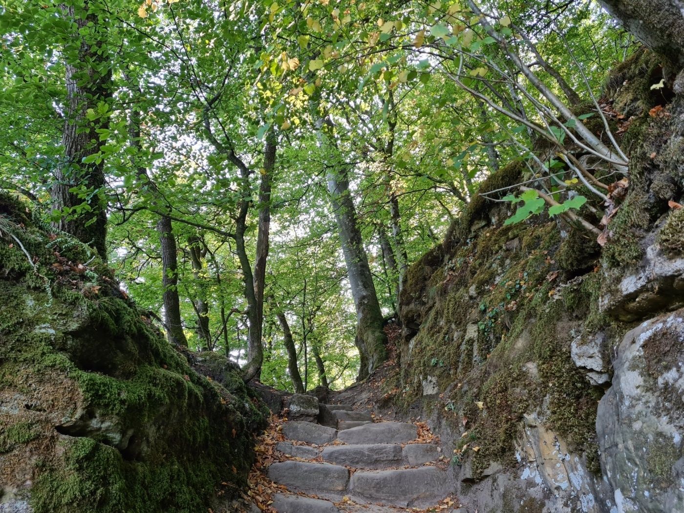 Local hiking trail - W6 - Visit Luxembourg