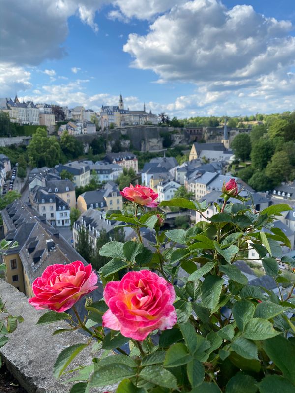 Parc Ban de Gasperich - Visit Luxembourg