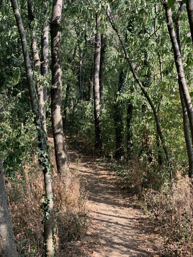 Auto-Pédestre Wanderweg Bascharage - Visit Luxembourg