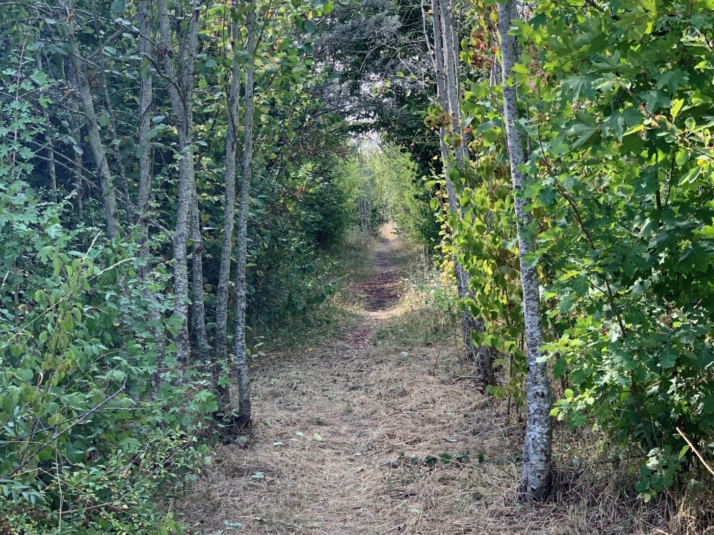 Auto-Pédestre Wanderweg Bascharage - Visit Luxembourg