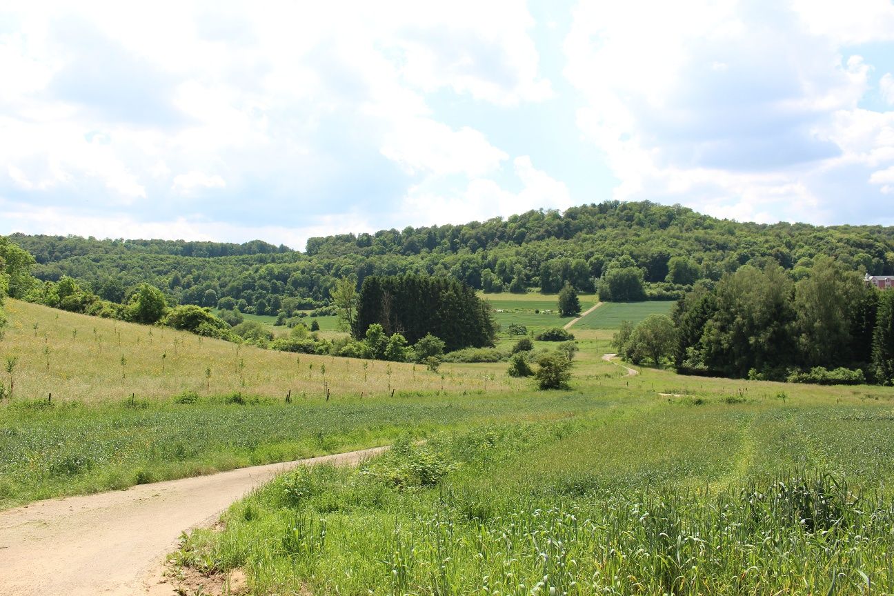 Randonnées - Visit Luxembourg