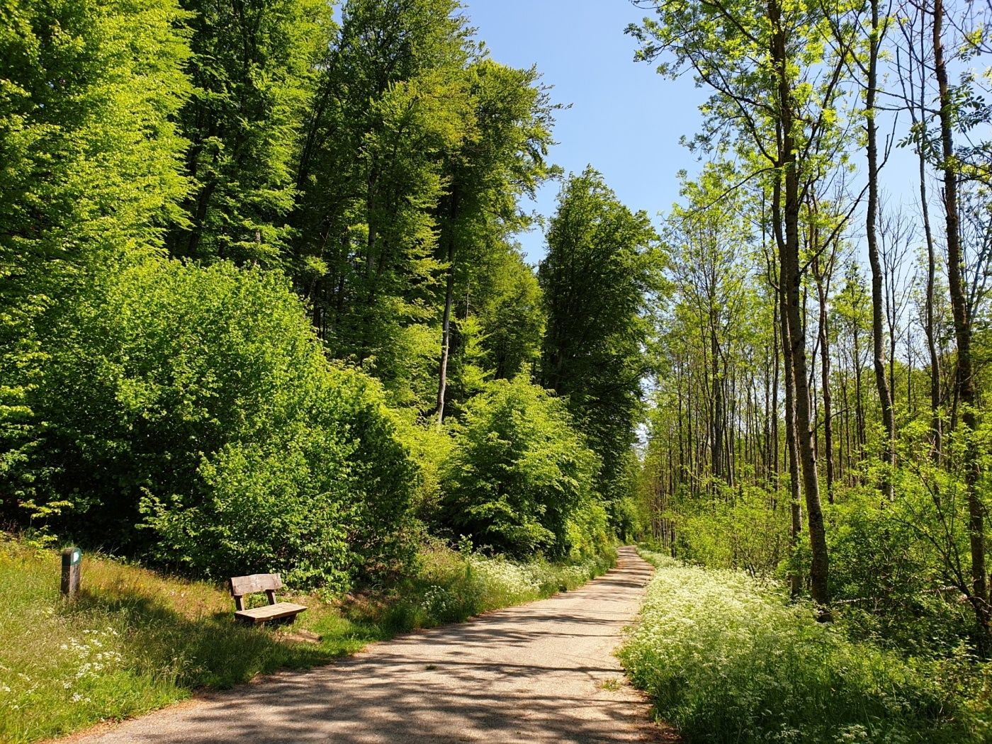 Local hiking trail - F2 - Visit Luxembourg