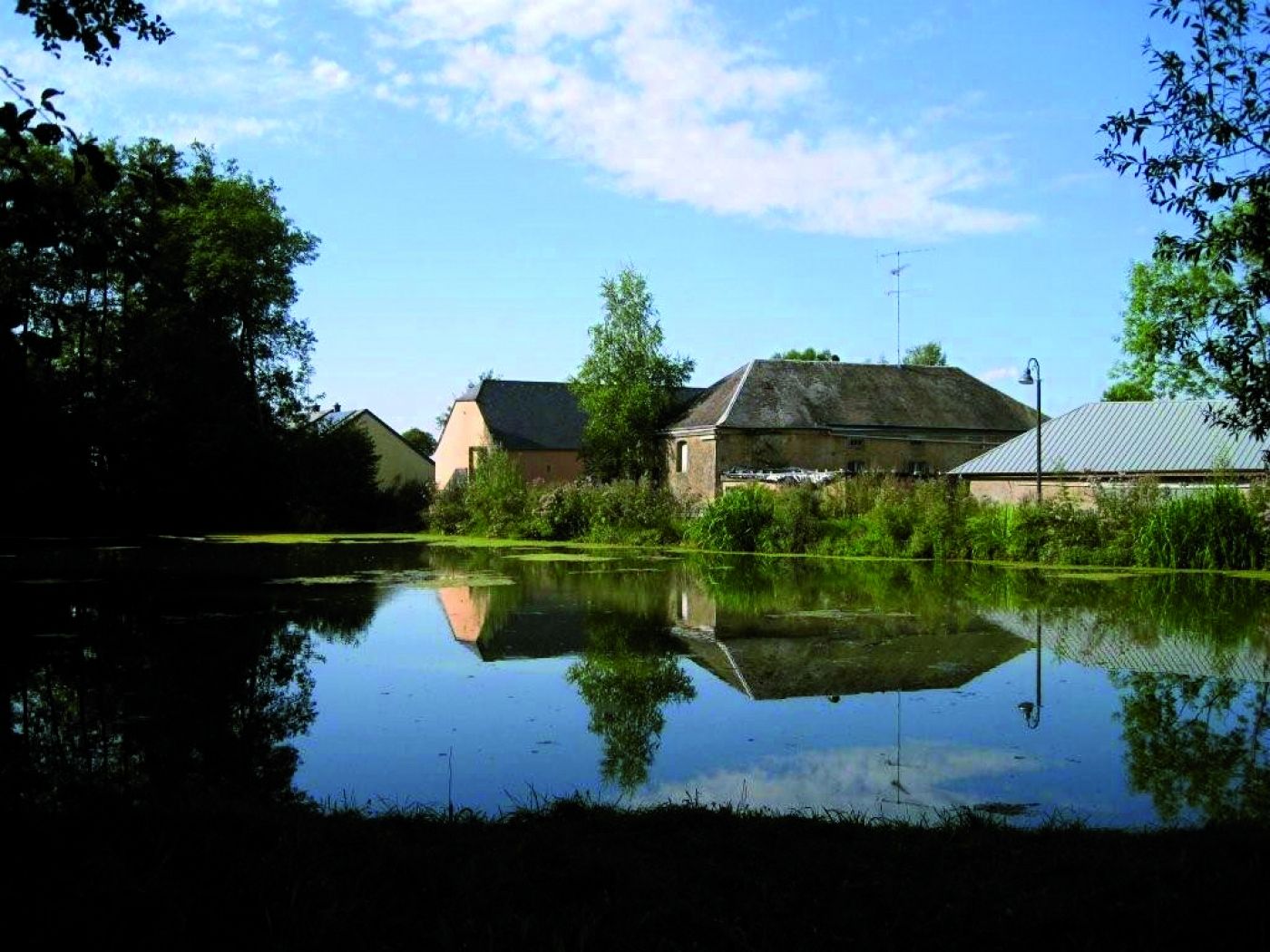 MTB trail Beckerich "Houbierg" - Visit Luxembourg