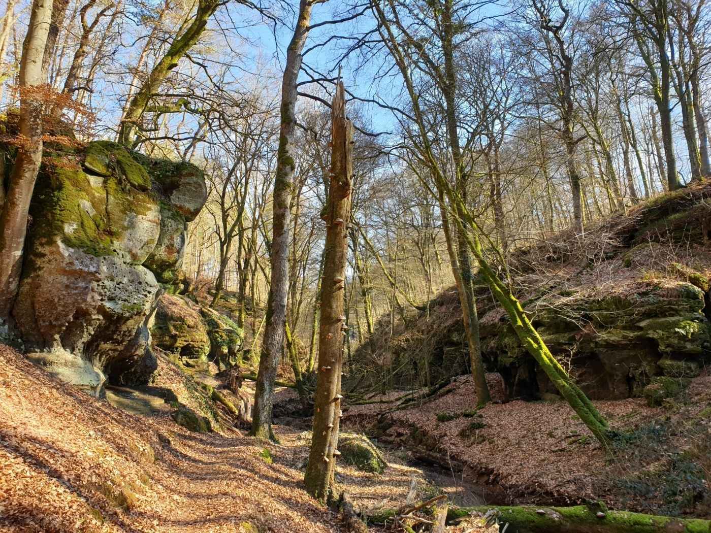 Local hiking trail - B11 - Visit Luxembourg