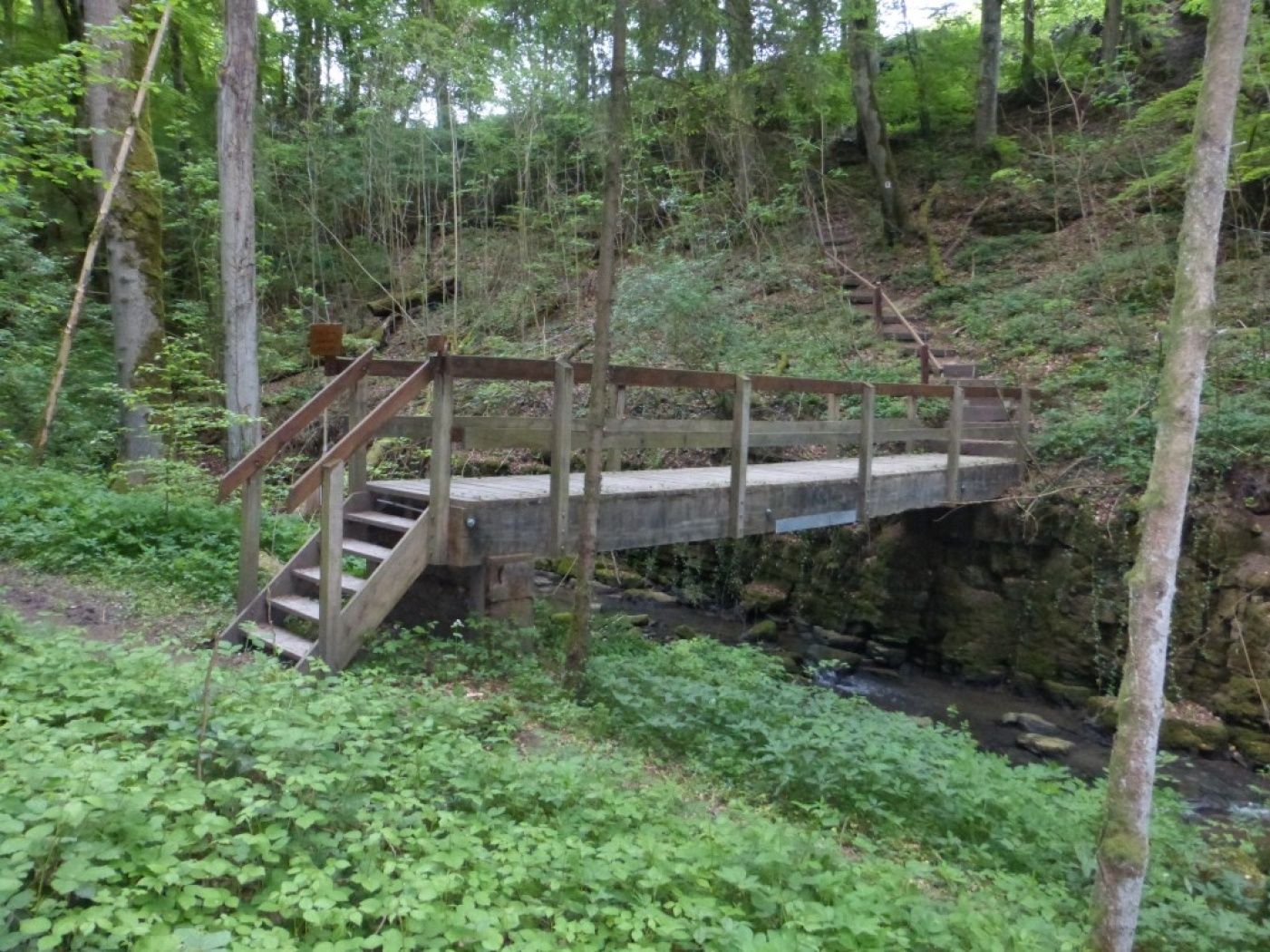 Auto-pédestre trail Manternach - Visit Luxembourg