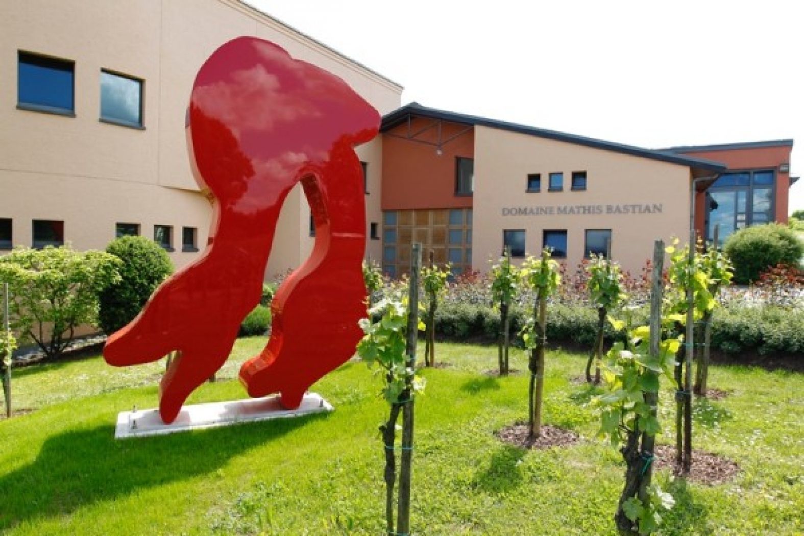 Domaine viticole Mathis Bastian et fille - Visit Luxembourg