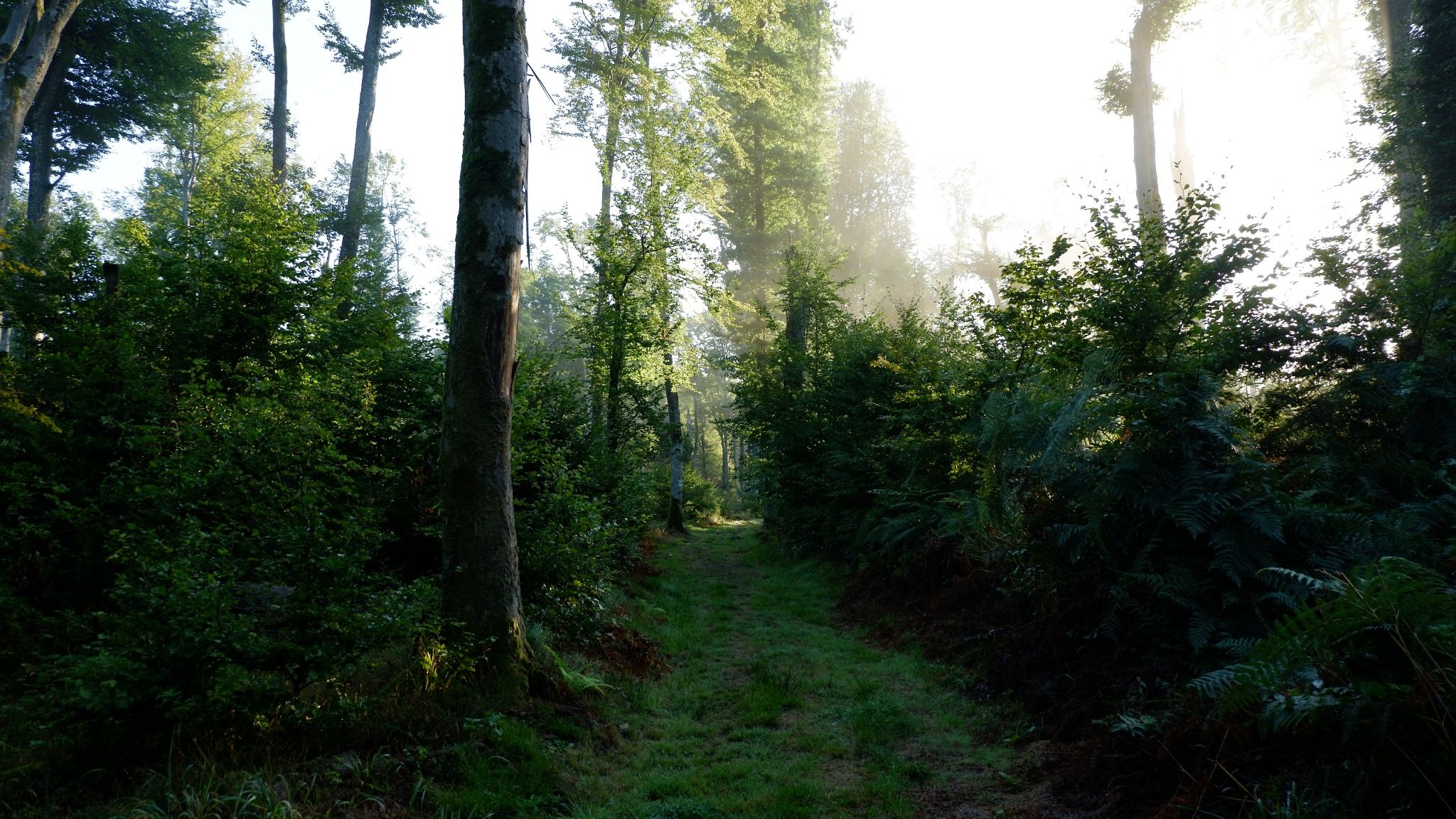 Circular walk Koerich - Visit Luxembourg