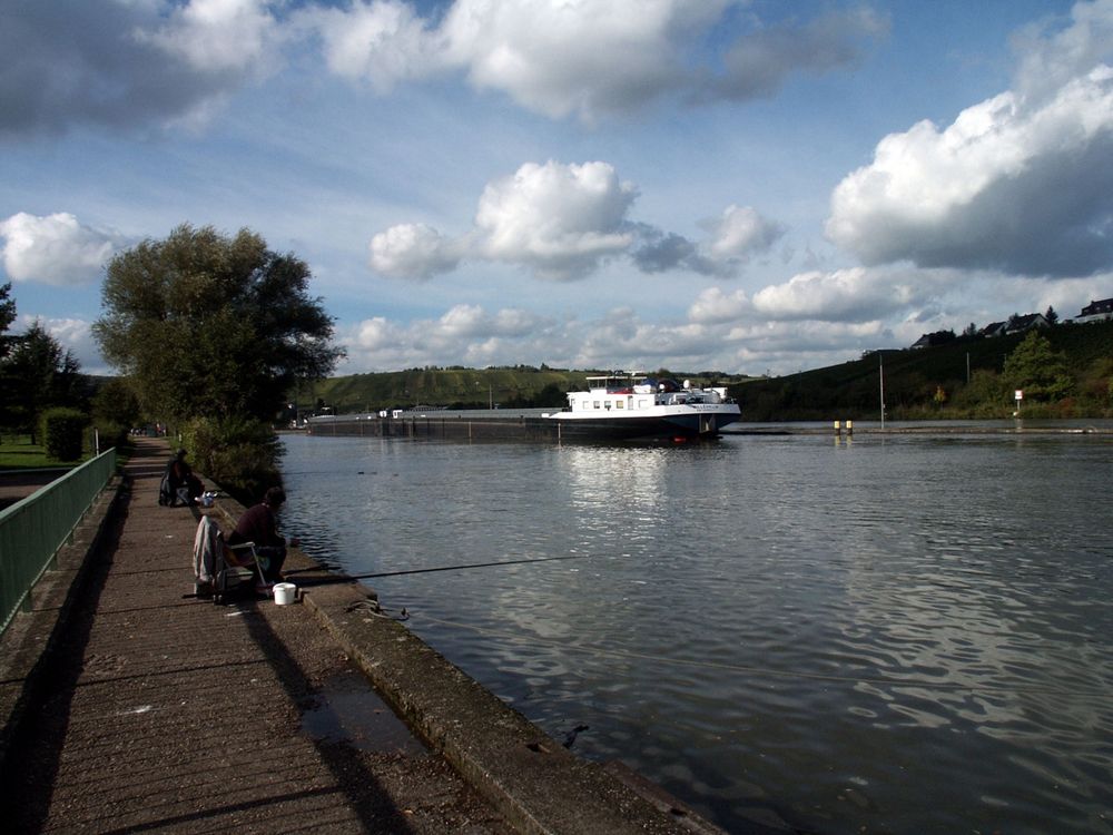 Auto-pédestre trail Stadtbredimus - Visit Luxembourg