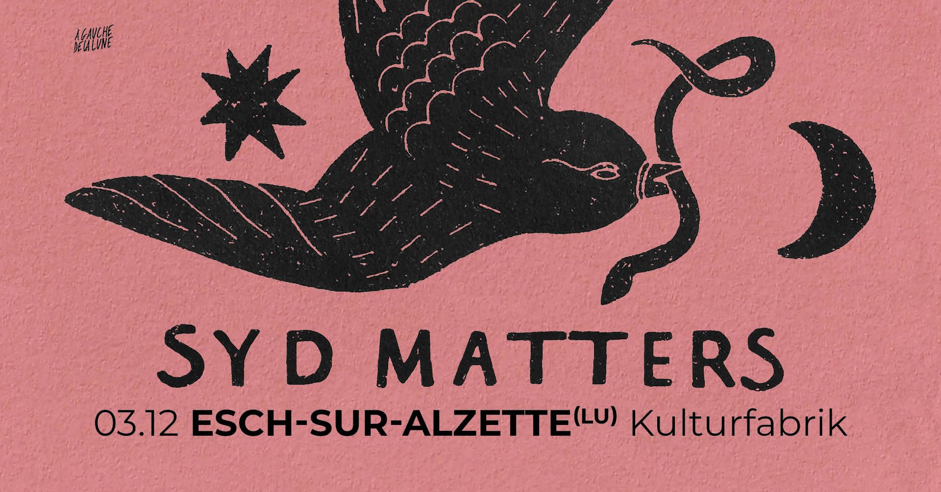 SYD MATTERS - Visit Luxembourg