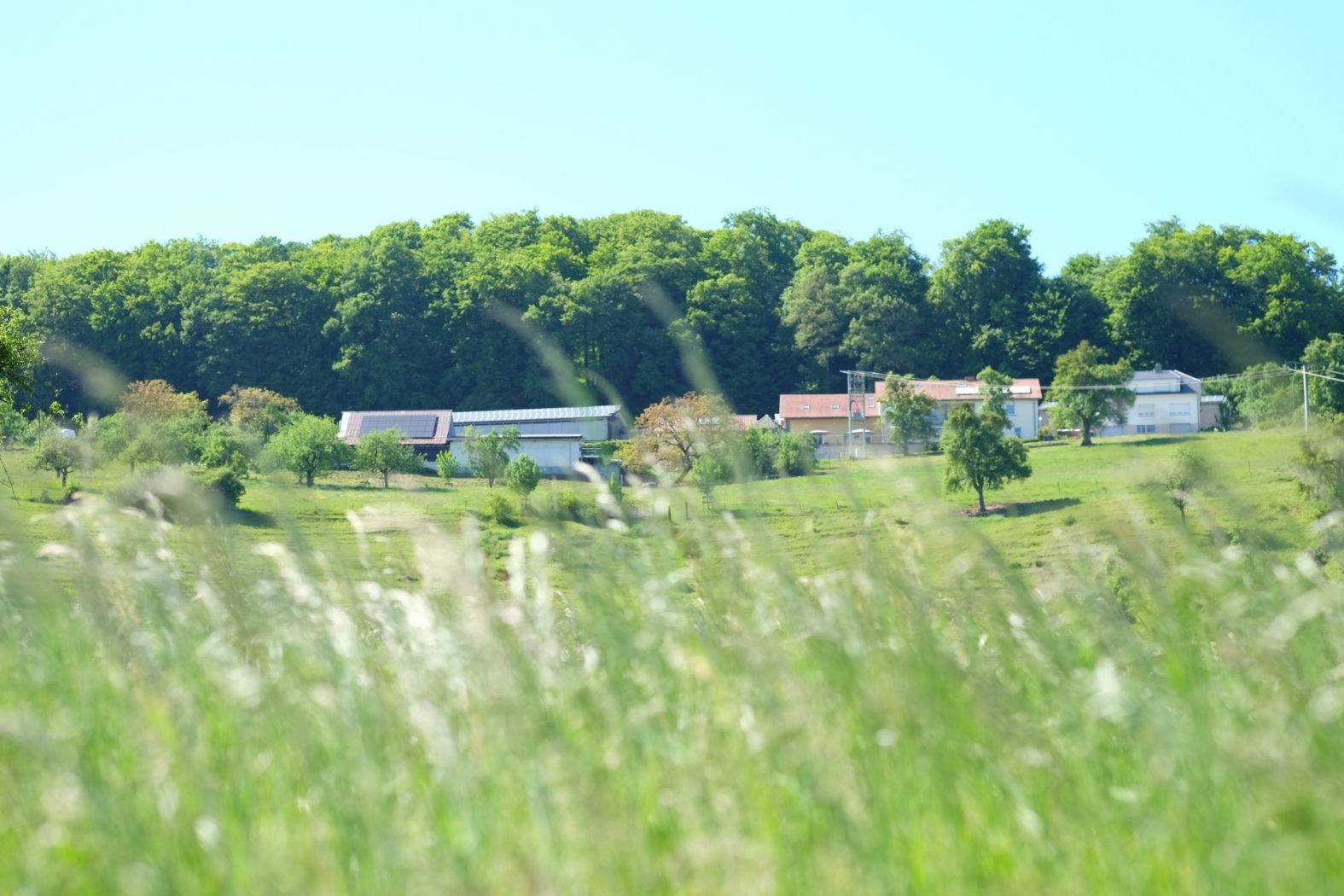 Famille Weydert Fromburgerhof (35m2) - Visit Luxembourg