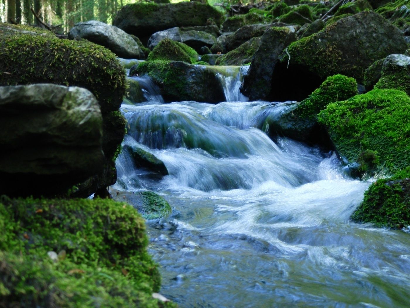 Auto-pédestre trail Manternach - Visit Luxembourg