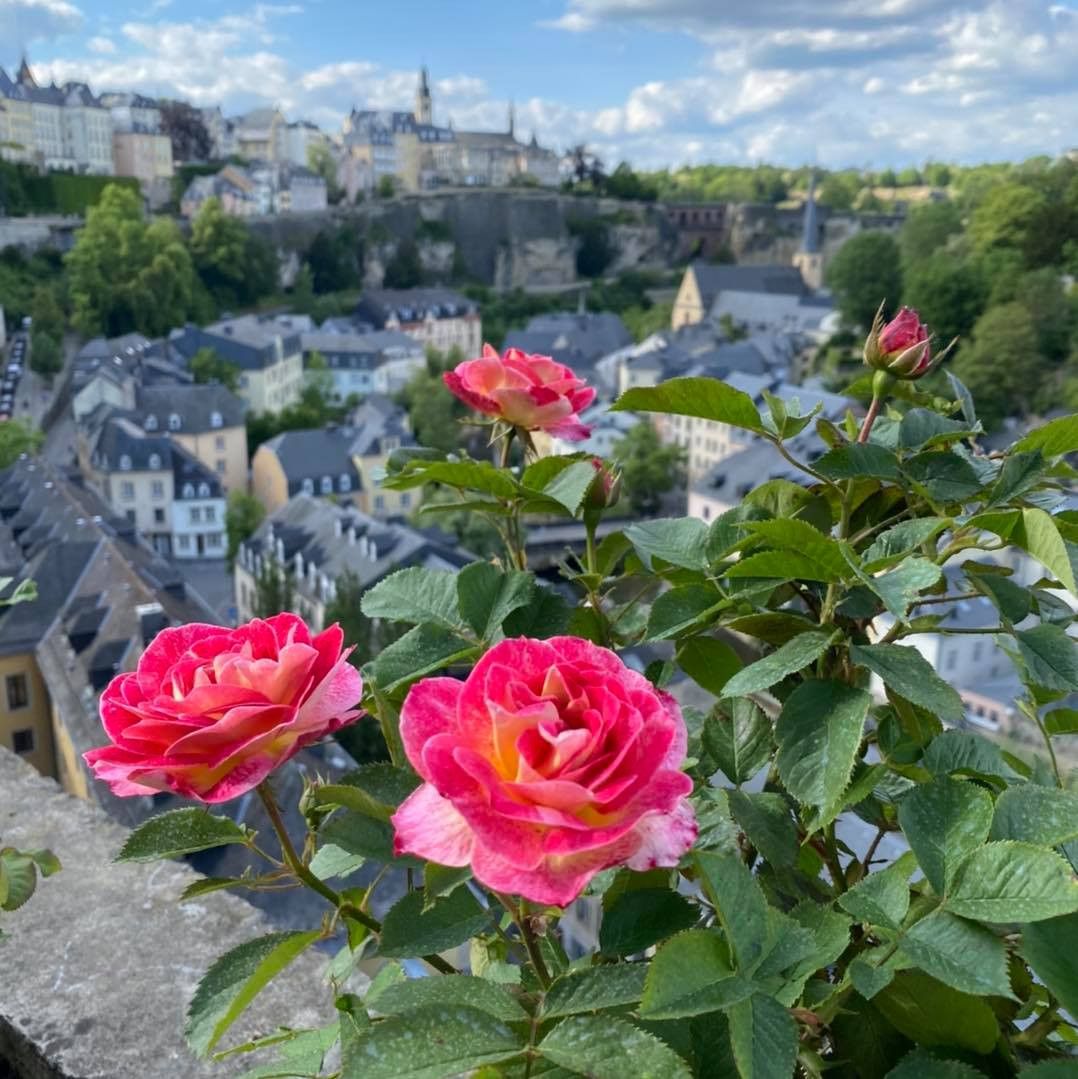 Le circuit roses du Limpertsberg - Visit Luxembourg