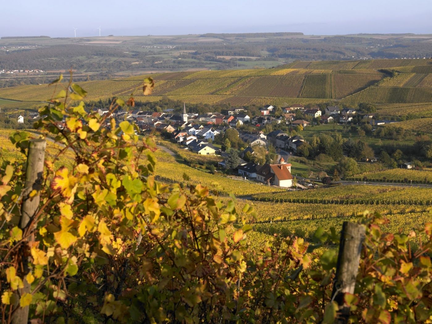 Auto-pédestre trail Wellenstein - Visit Luxembourg