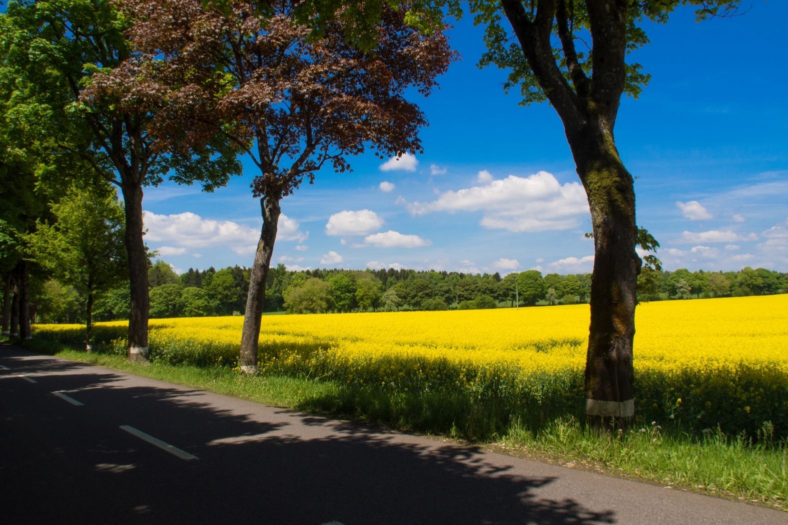 Differdange - Visit Luxembourg
