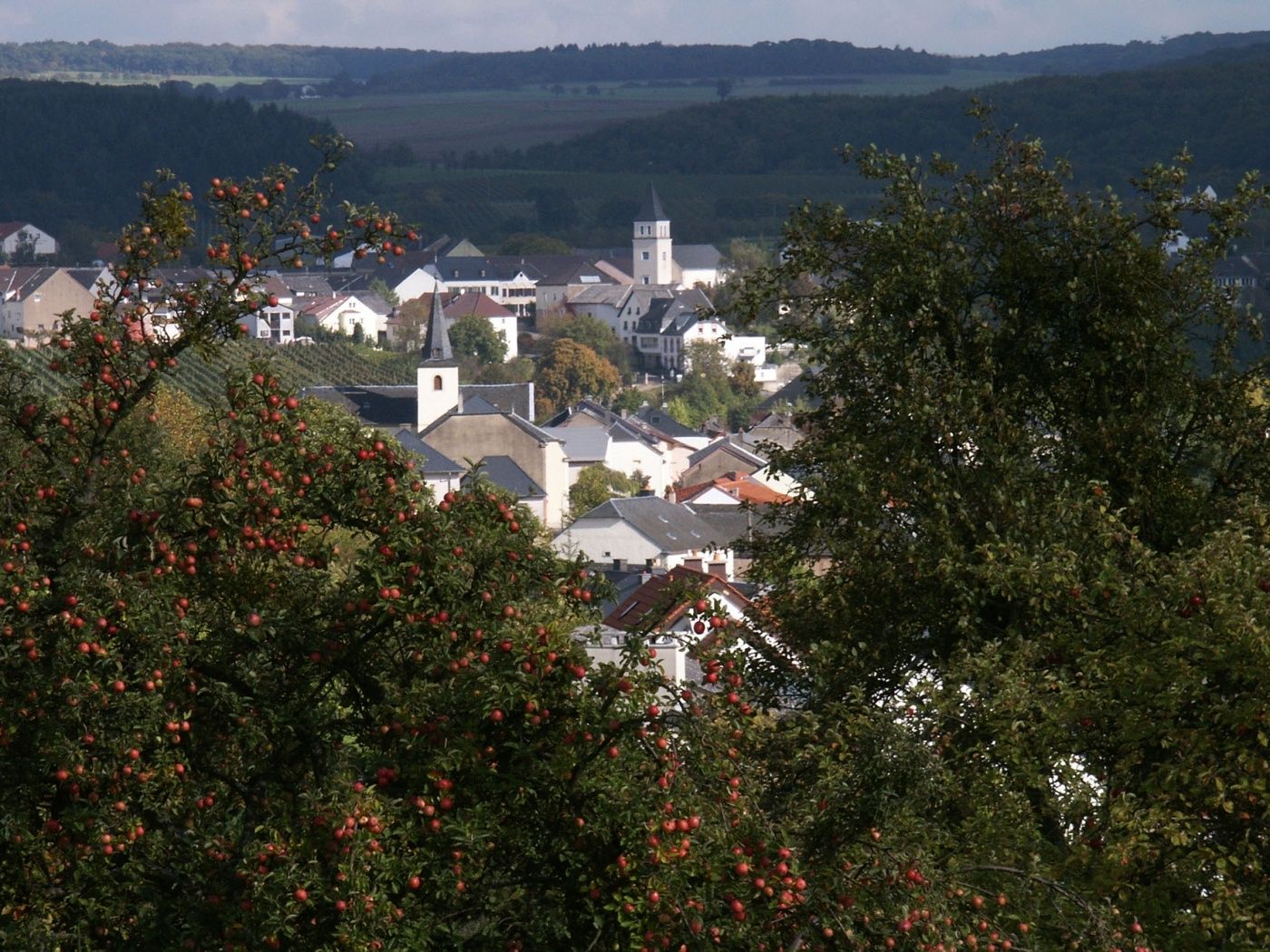 Auto-pédestre trail Stadtbredimus - Visit Luxembourg