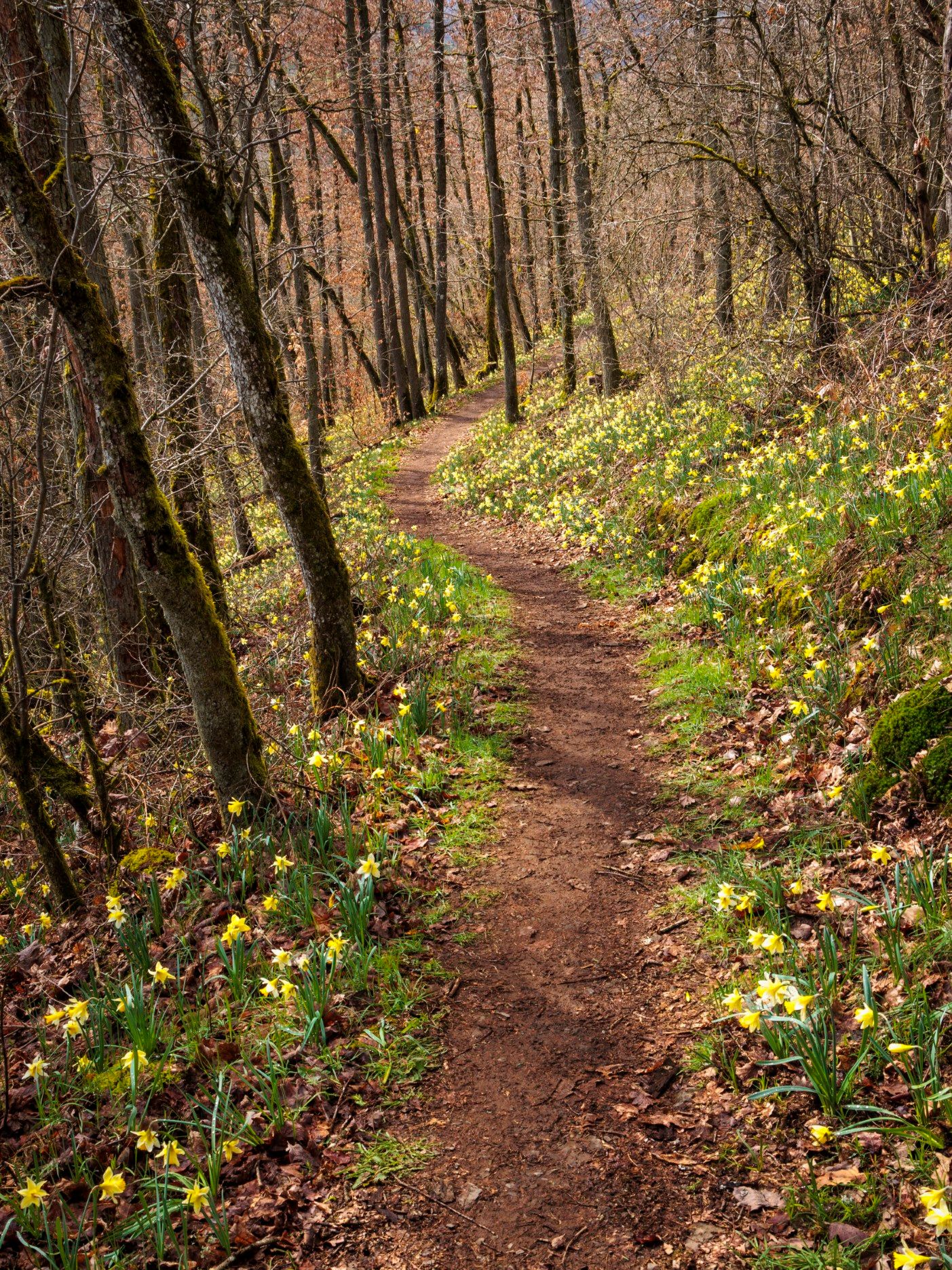 Via Botanica - Visit Luxembourg