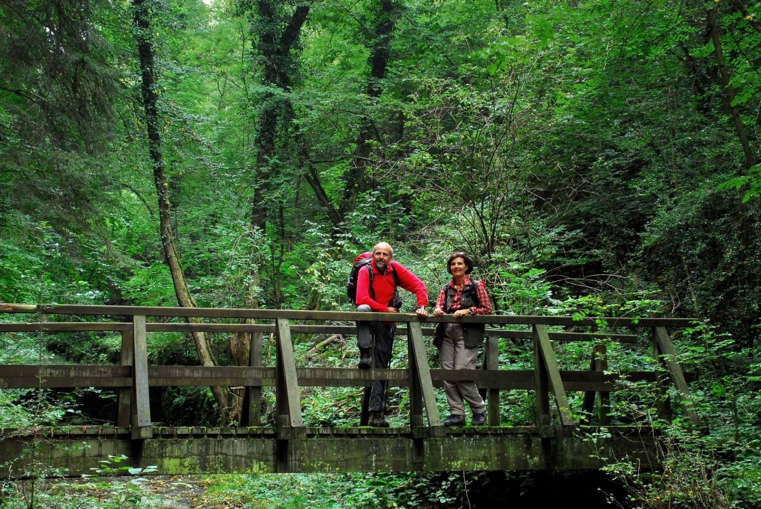 National hiking trail "Valley of the river Mamer" - Visit Luxembourg