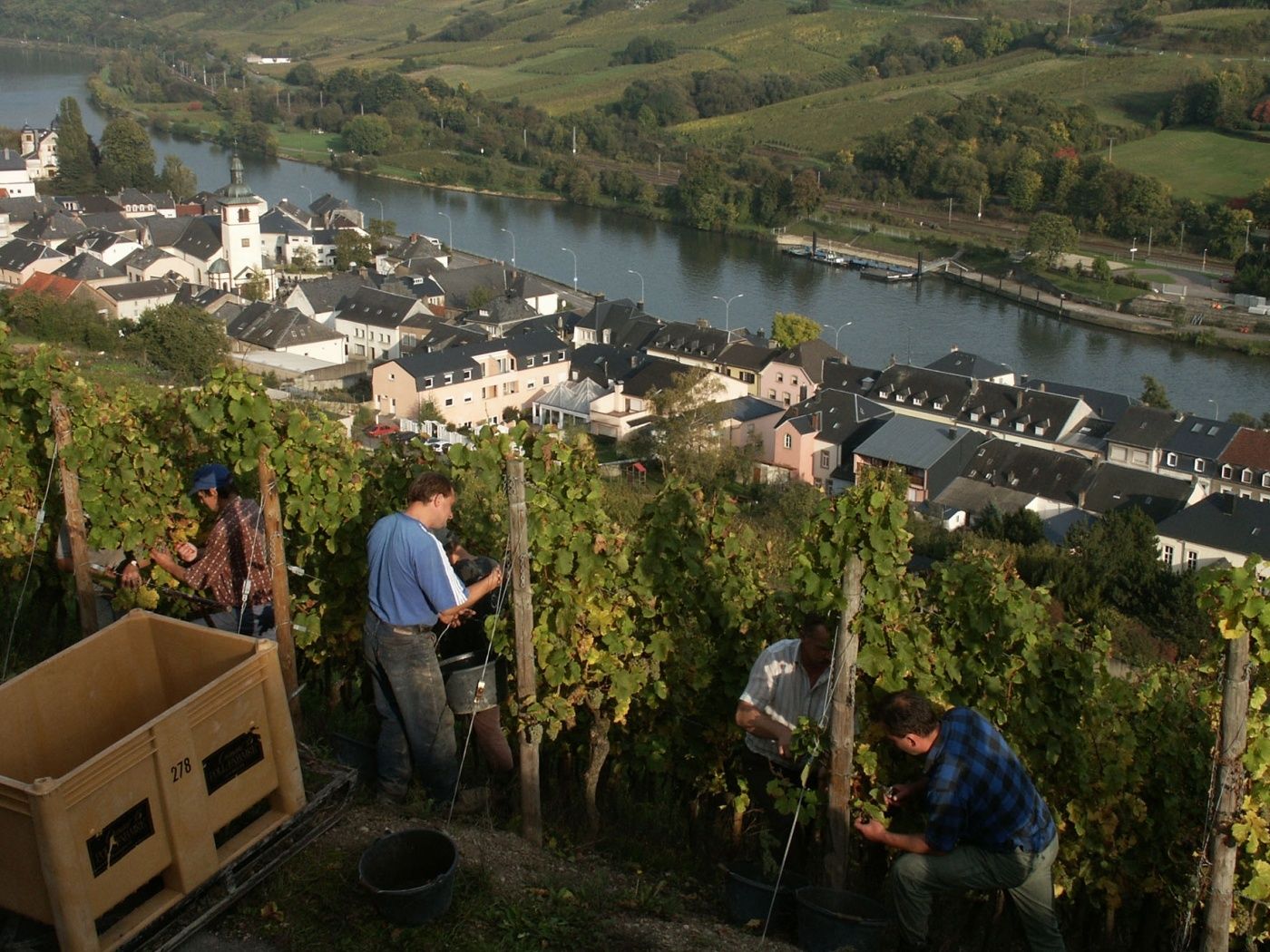 Auto-Pédestre Wanderweg Wormeldange - Visit Luxembourg
