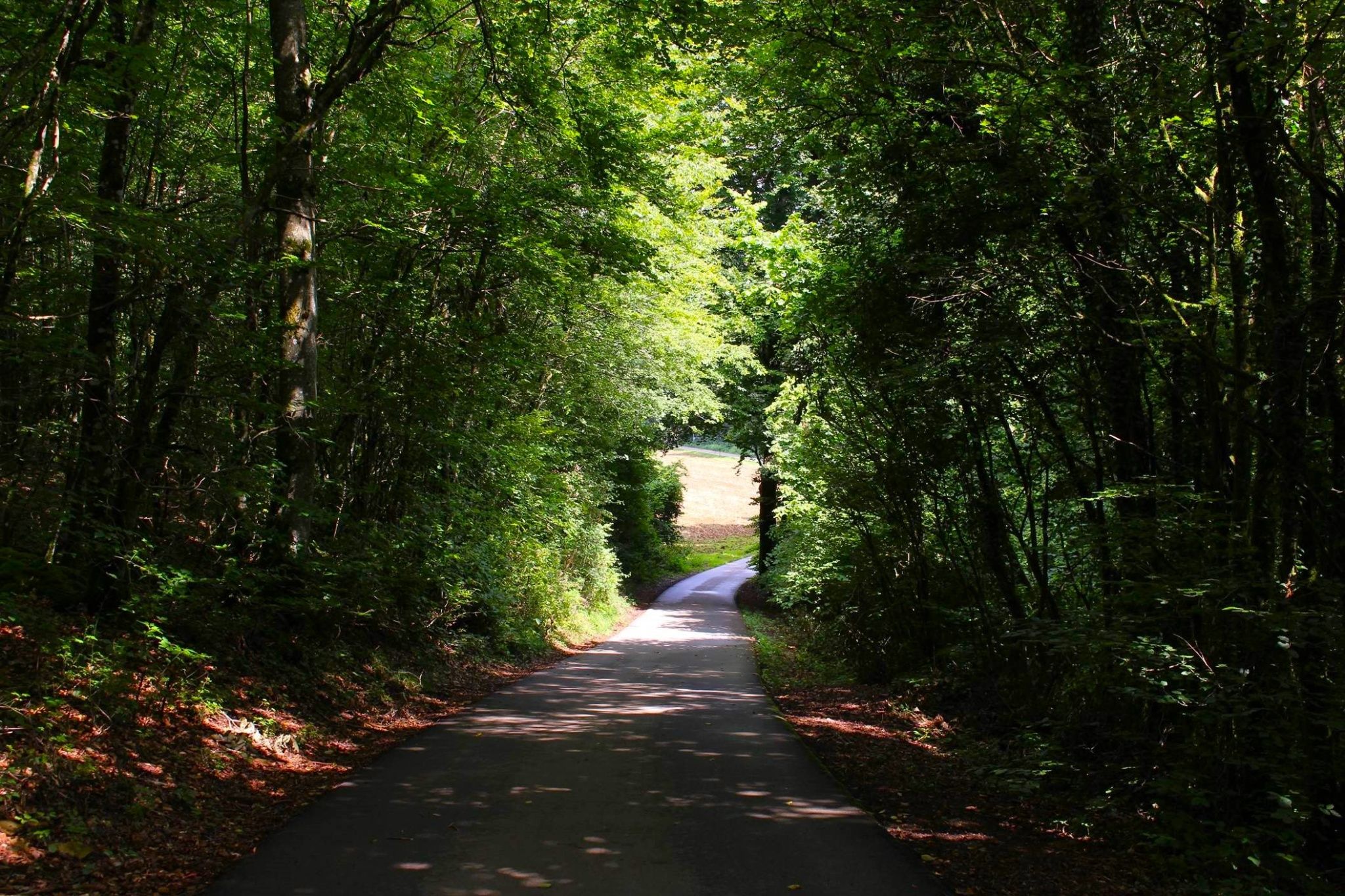 Auto-pédestre trail Rumelange I - Visit Luxembourg