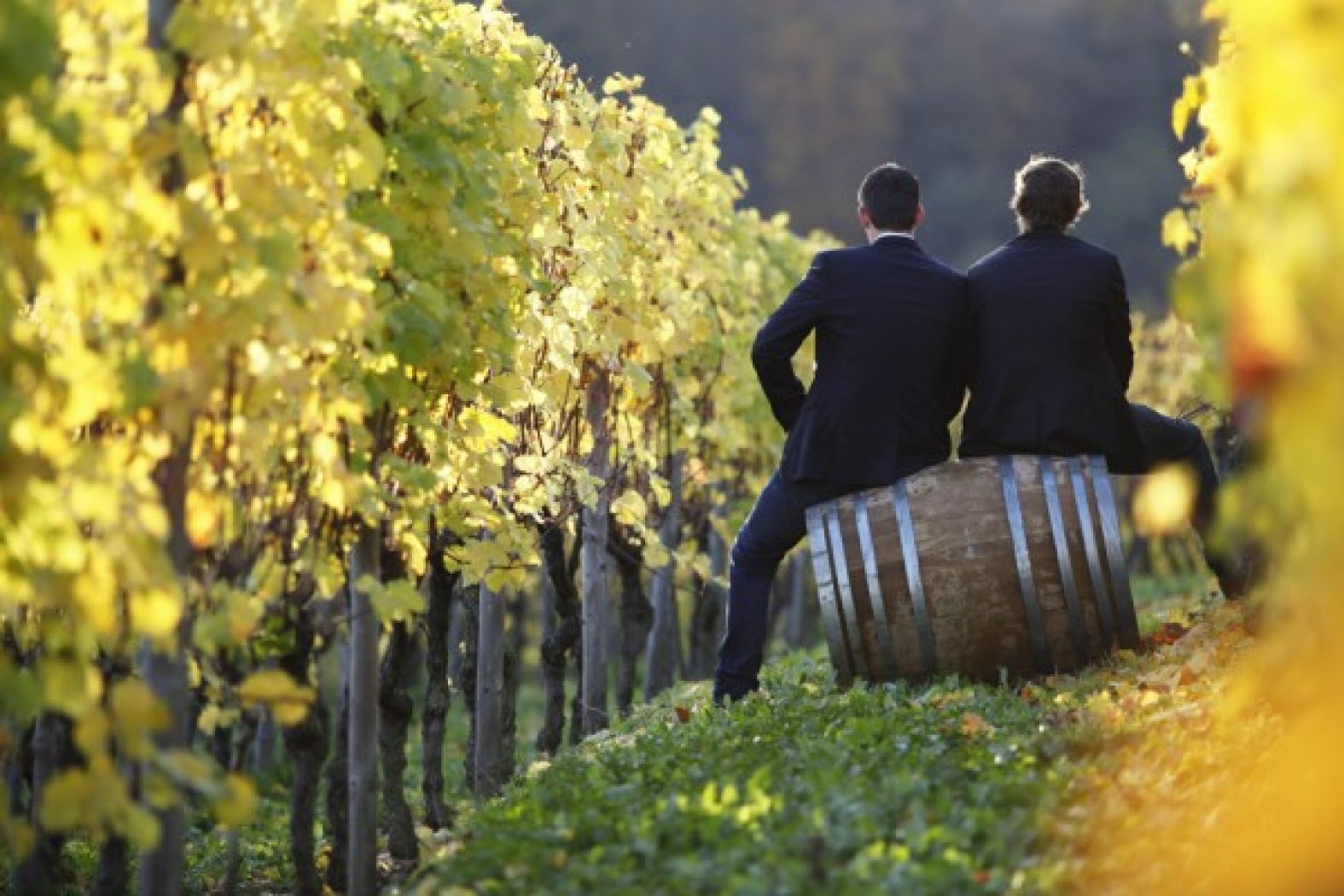 Domaine Mme Aly Duhr - Visit Luxembourg