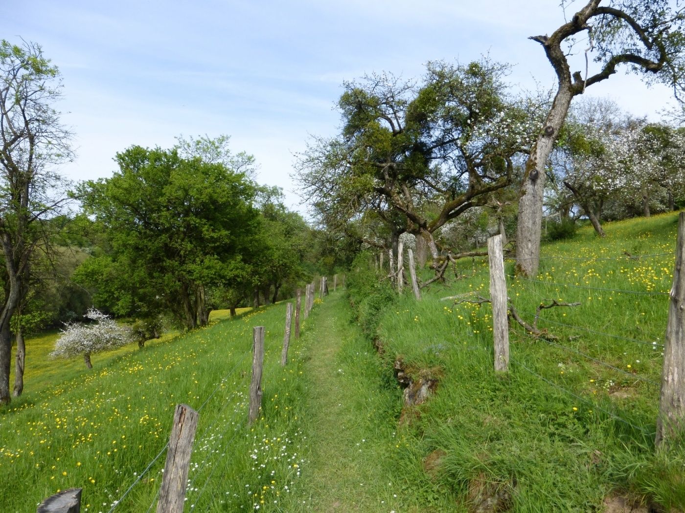 Manternach C - Visit Luxembourg