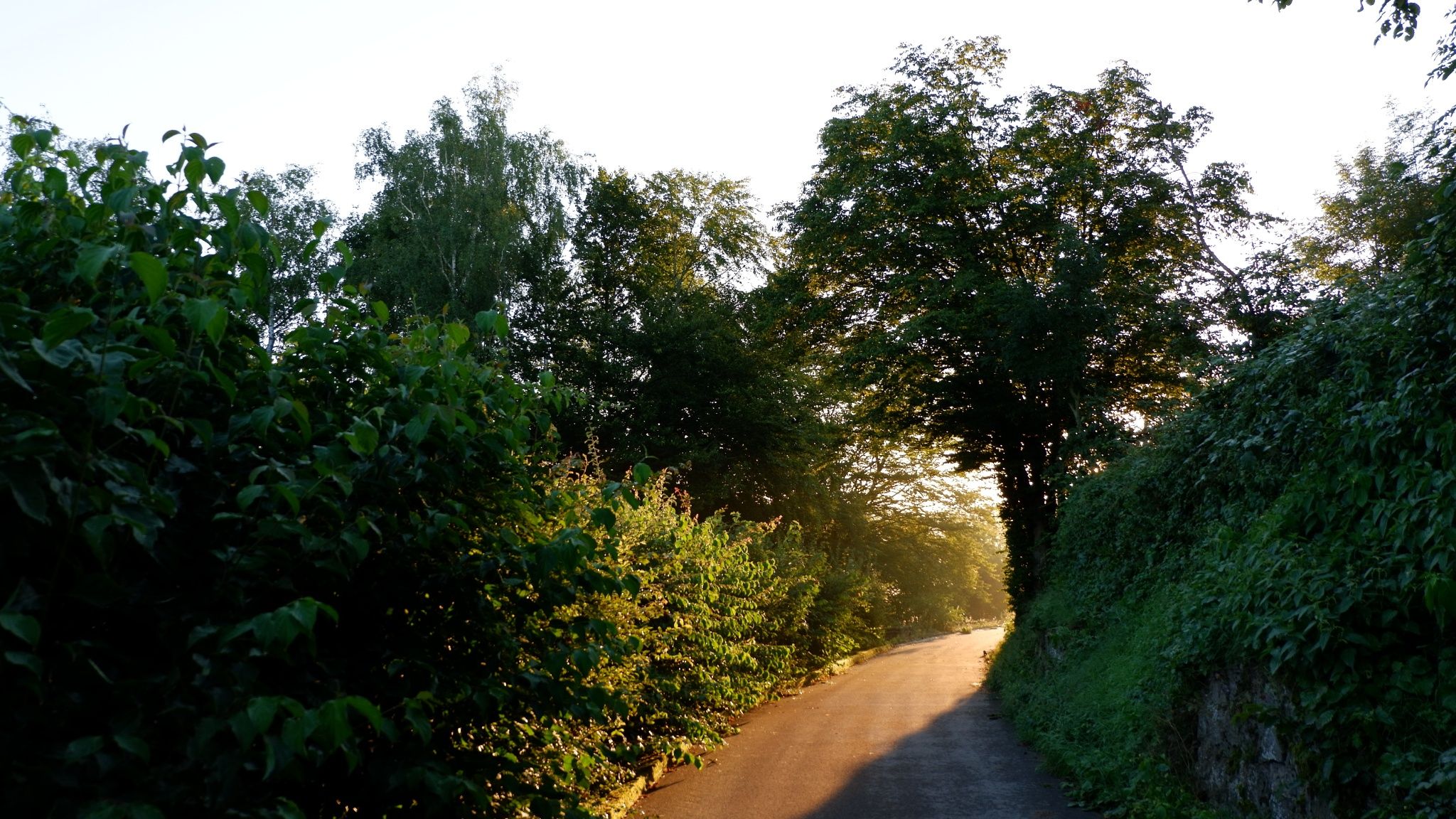 Rundwanderweg Koerich - Visit Luxembourg