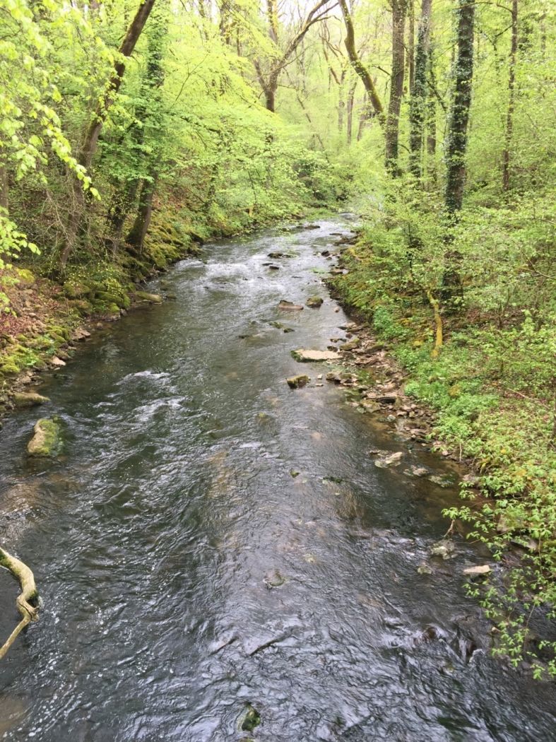 Manternach C - Visit Luxembourg