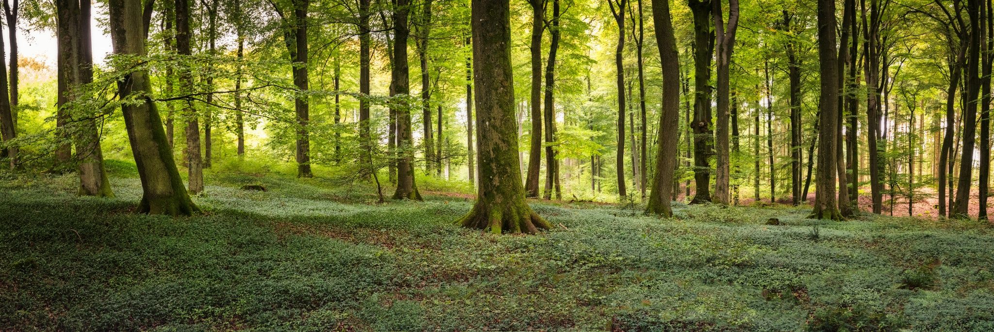 parcours Auto-Pédestre Senningerberg - Visit Luxembourg