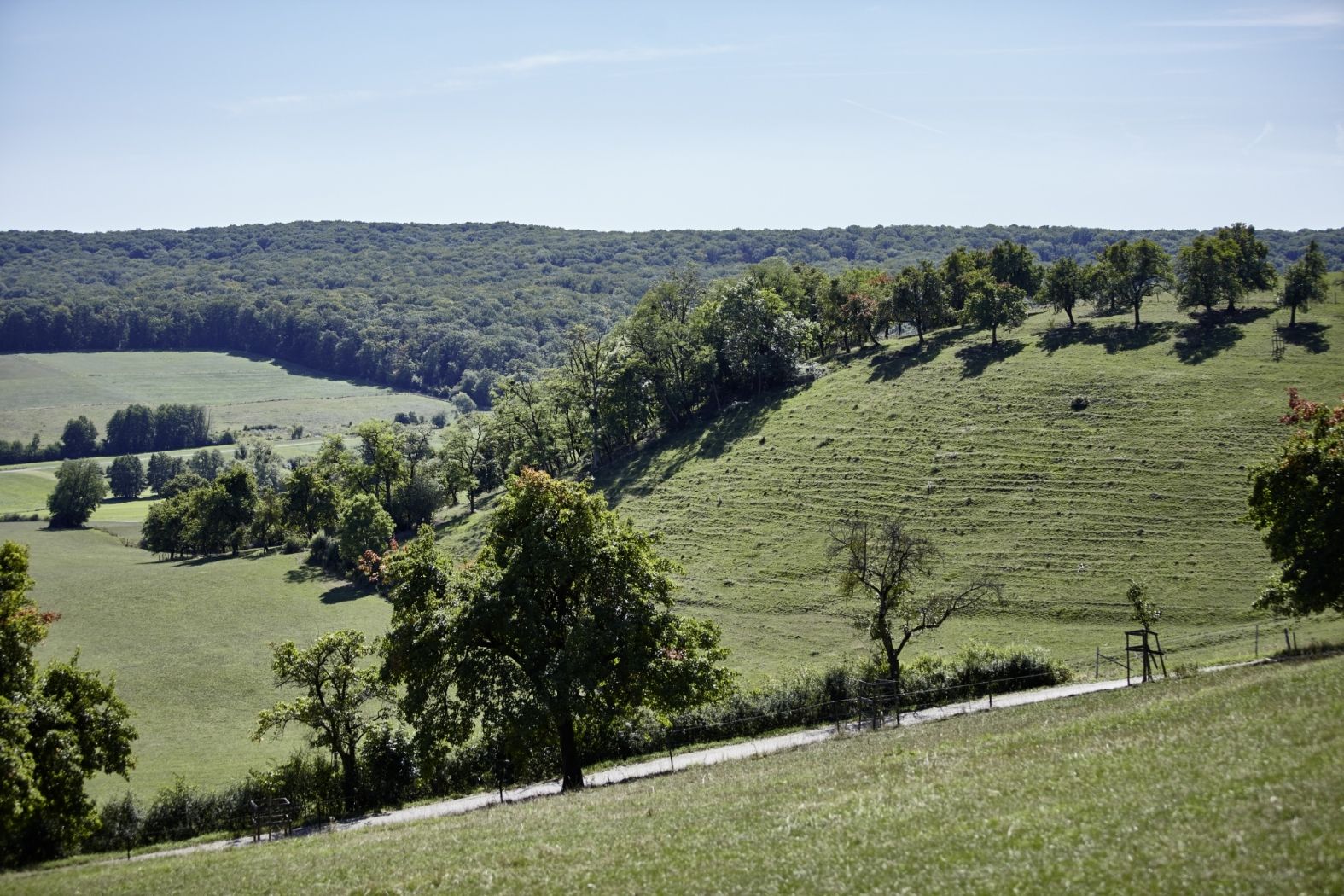 Famille Weydert Fromburgerhof (35m2) - Visit Luxembourg
