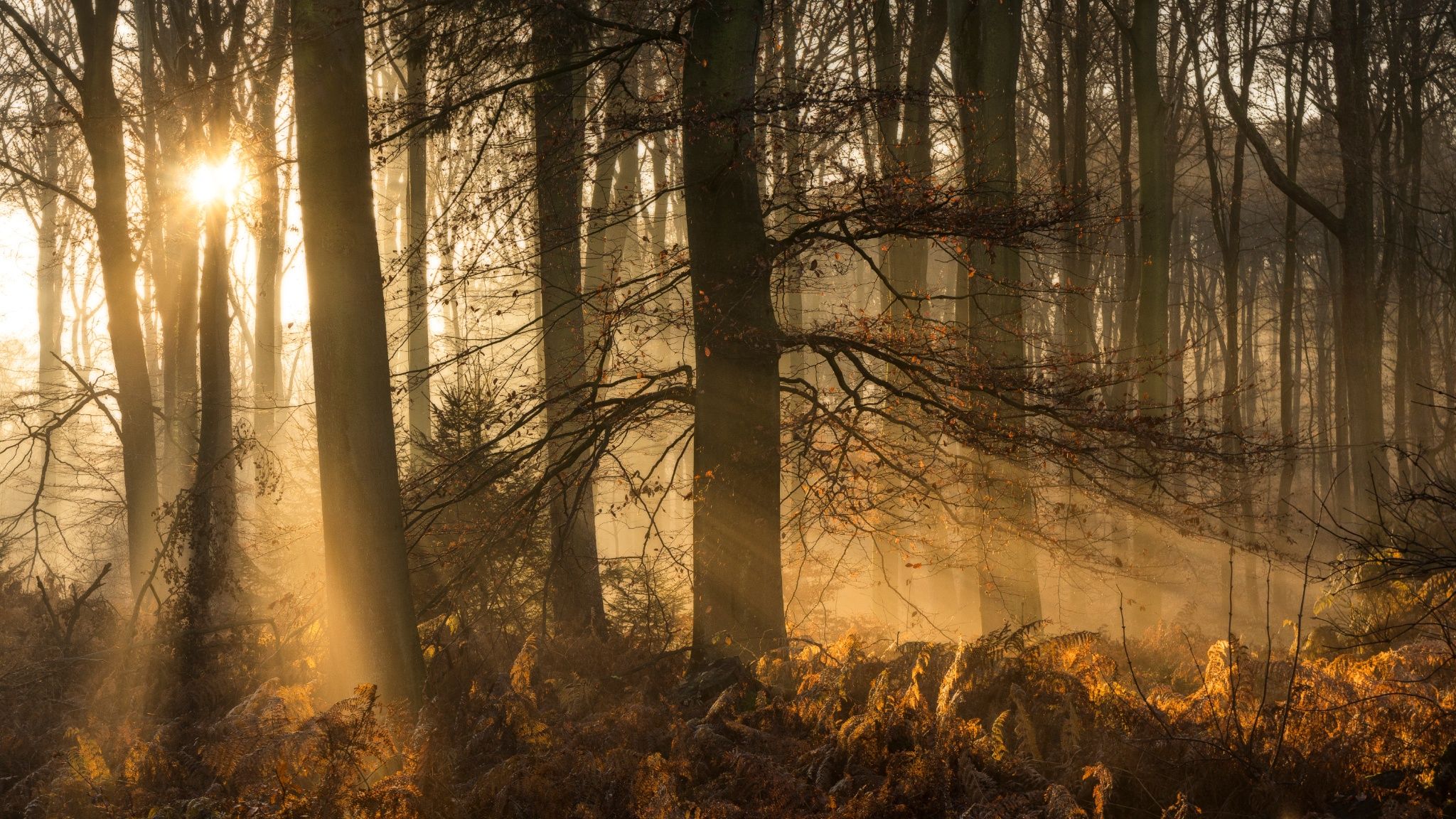 Lokaler Wanderweg Saeul - SA1 - Visit Luxembourg